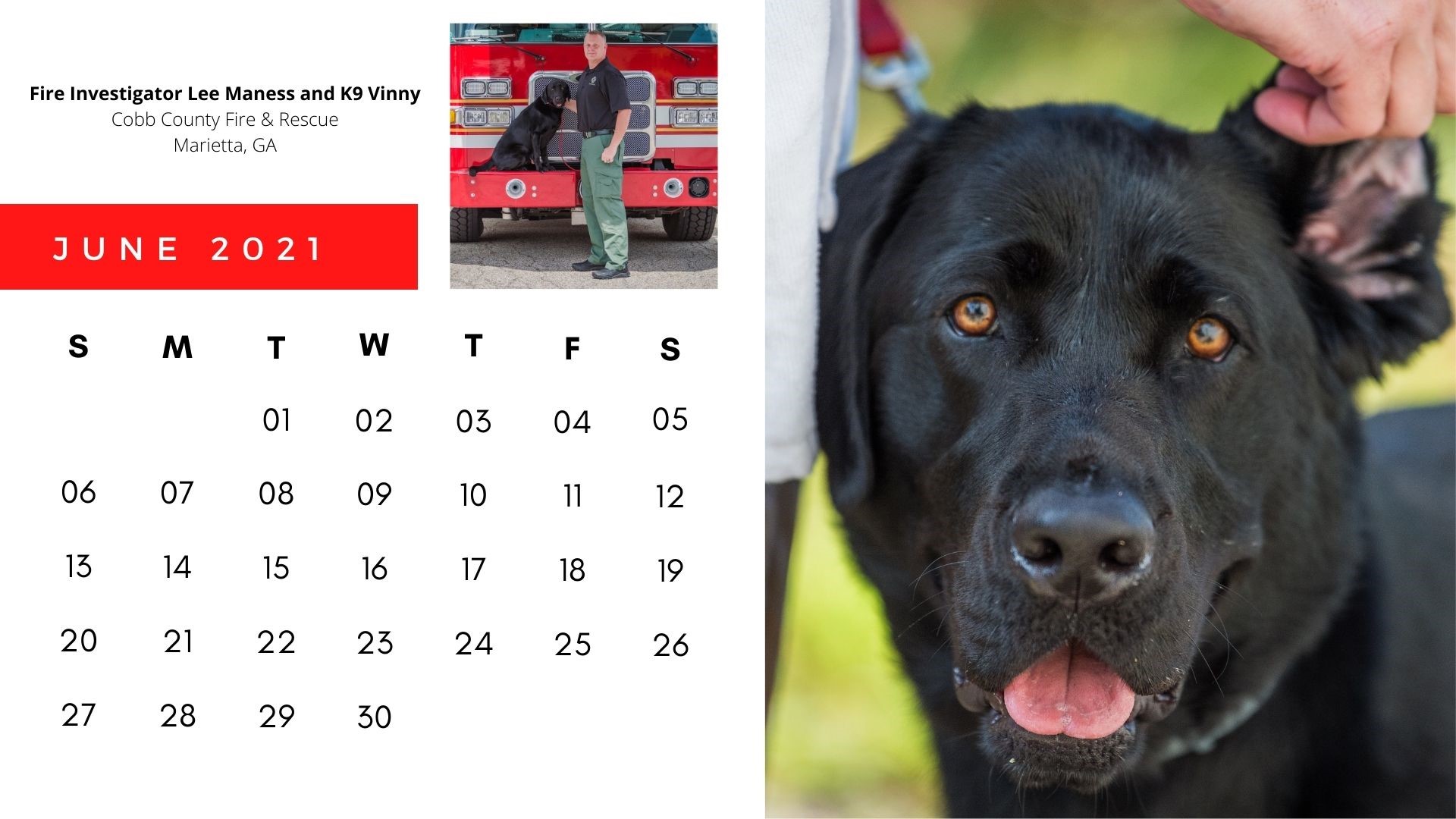 14 new arson dog teams training in 2020 | State Farm