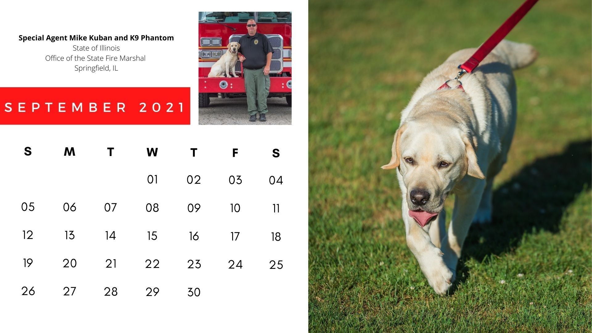 14 new arson dog teams training in 2020 | State Farm