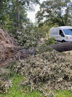 State Farm responds to Hurricane Beryl