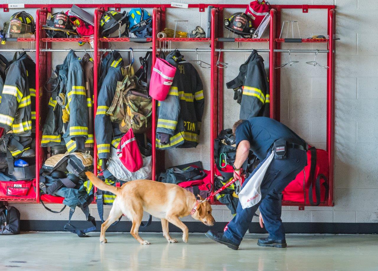 Meet State Farm Arson Dog Teams and Other Helping Heroes