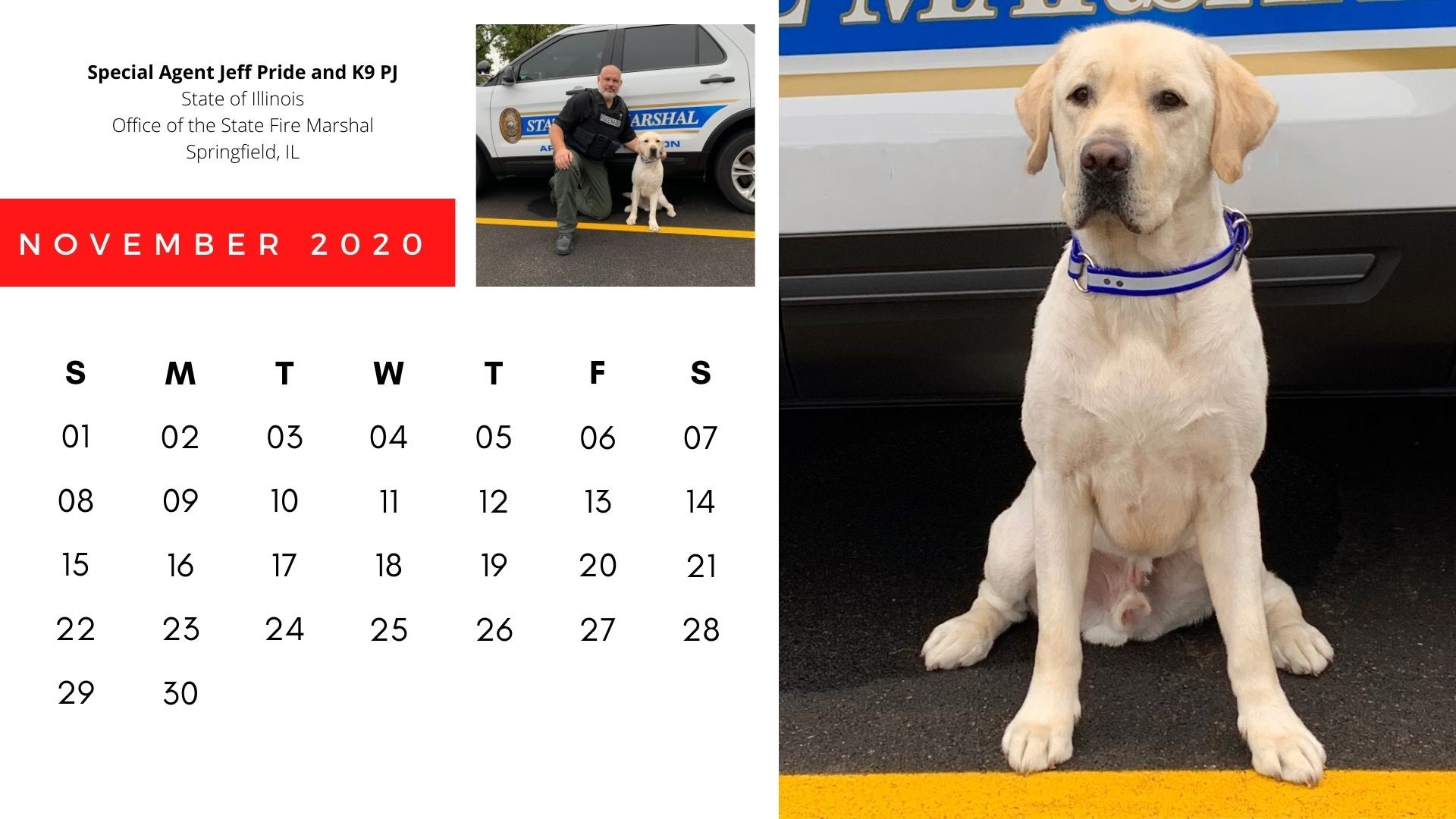 14 new arson dog teams training in 2020 | State Farm