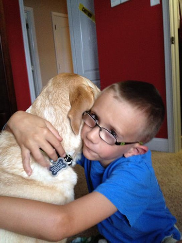 Hero Arson Dog Goes Rogue