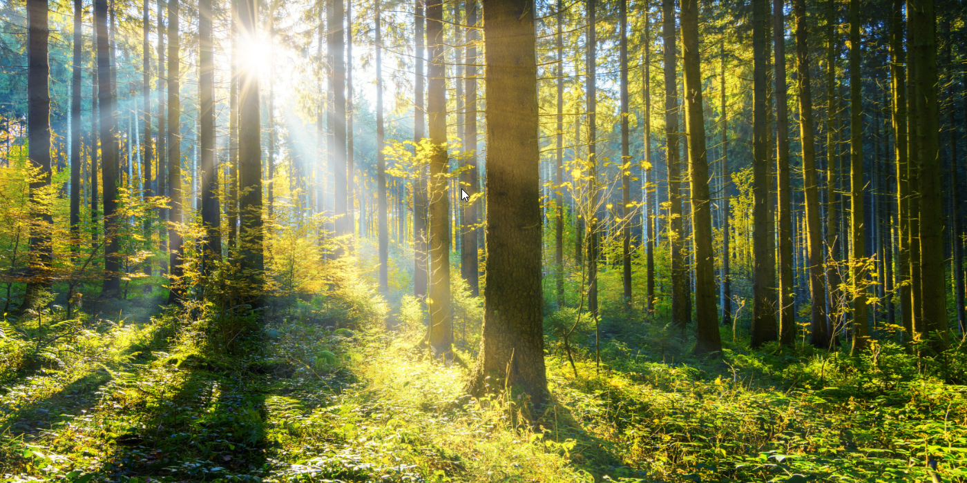 Join State Farm and Plant a Tree on Arbor Day