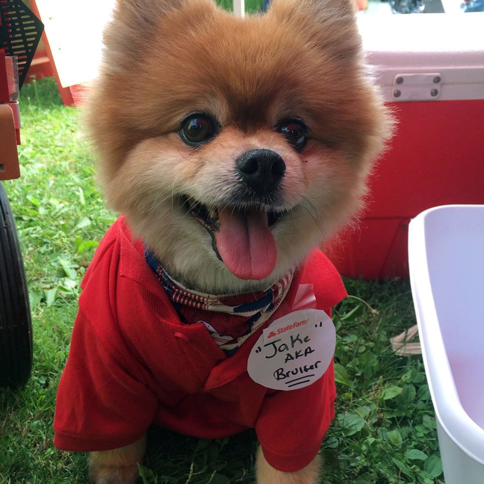 Good Neighbor Stories