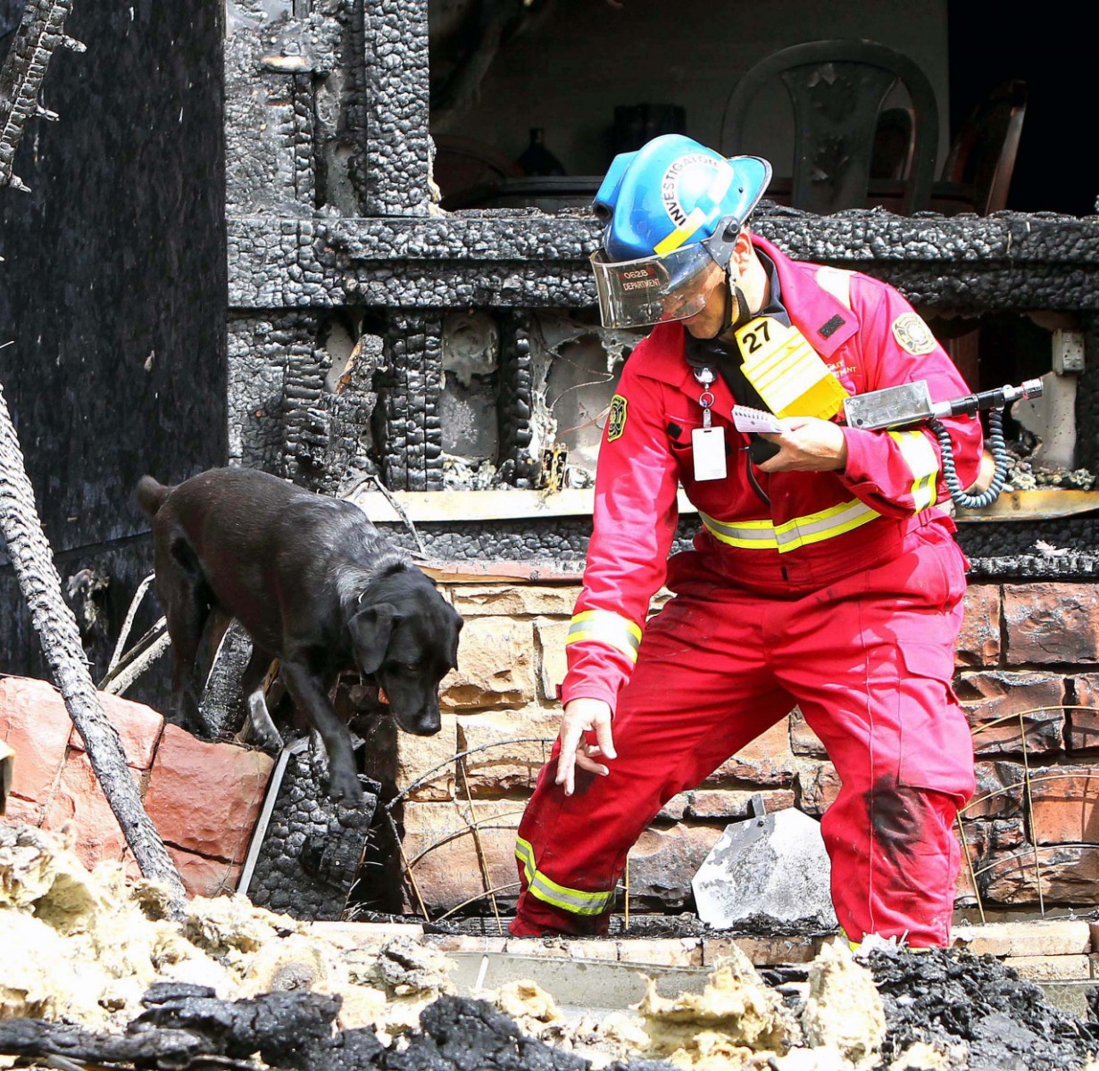 From Puppies to Saviors | State Farm