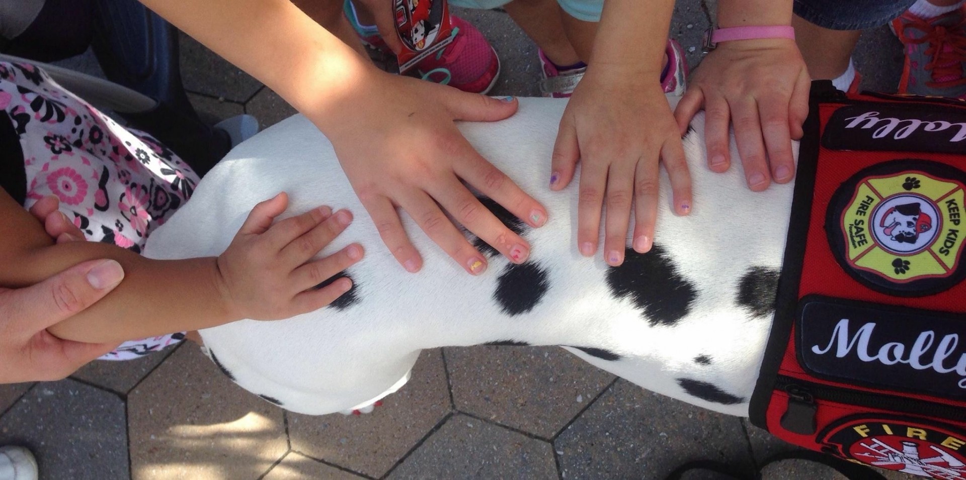 Five-year-old Dalmatian Teaches Fire Safety Tips | State Farm