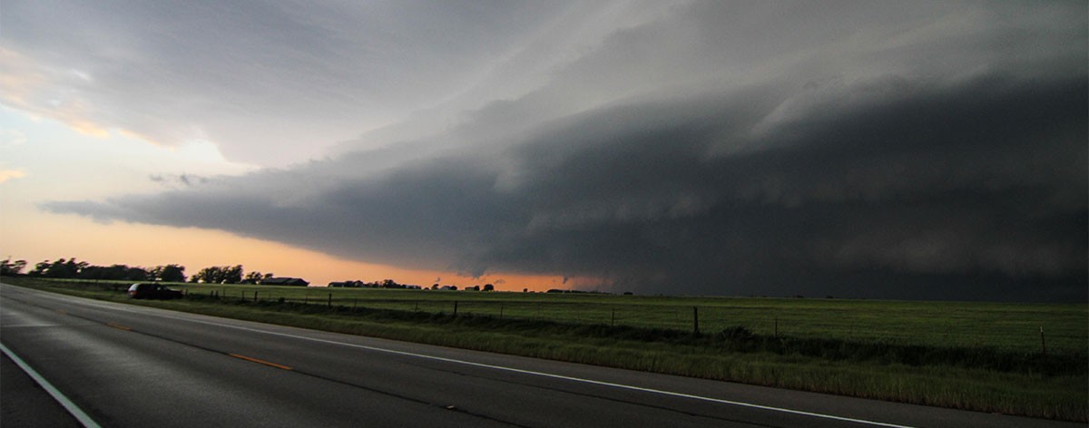 Wild Weather Survivors