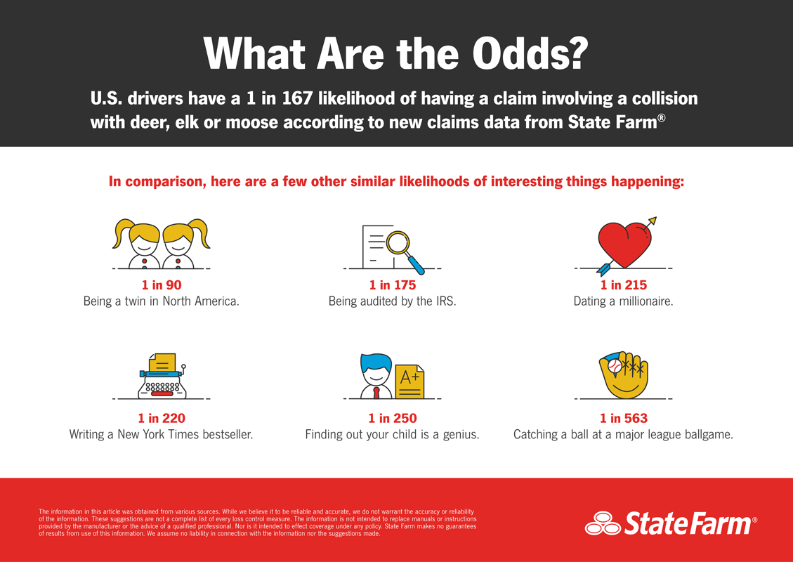 Deer Crashes Down, But Be Alert in the Fall | State Farm