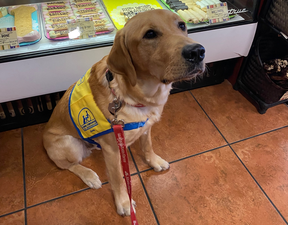 A State Farm Sponsored Service Dog Tells All