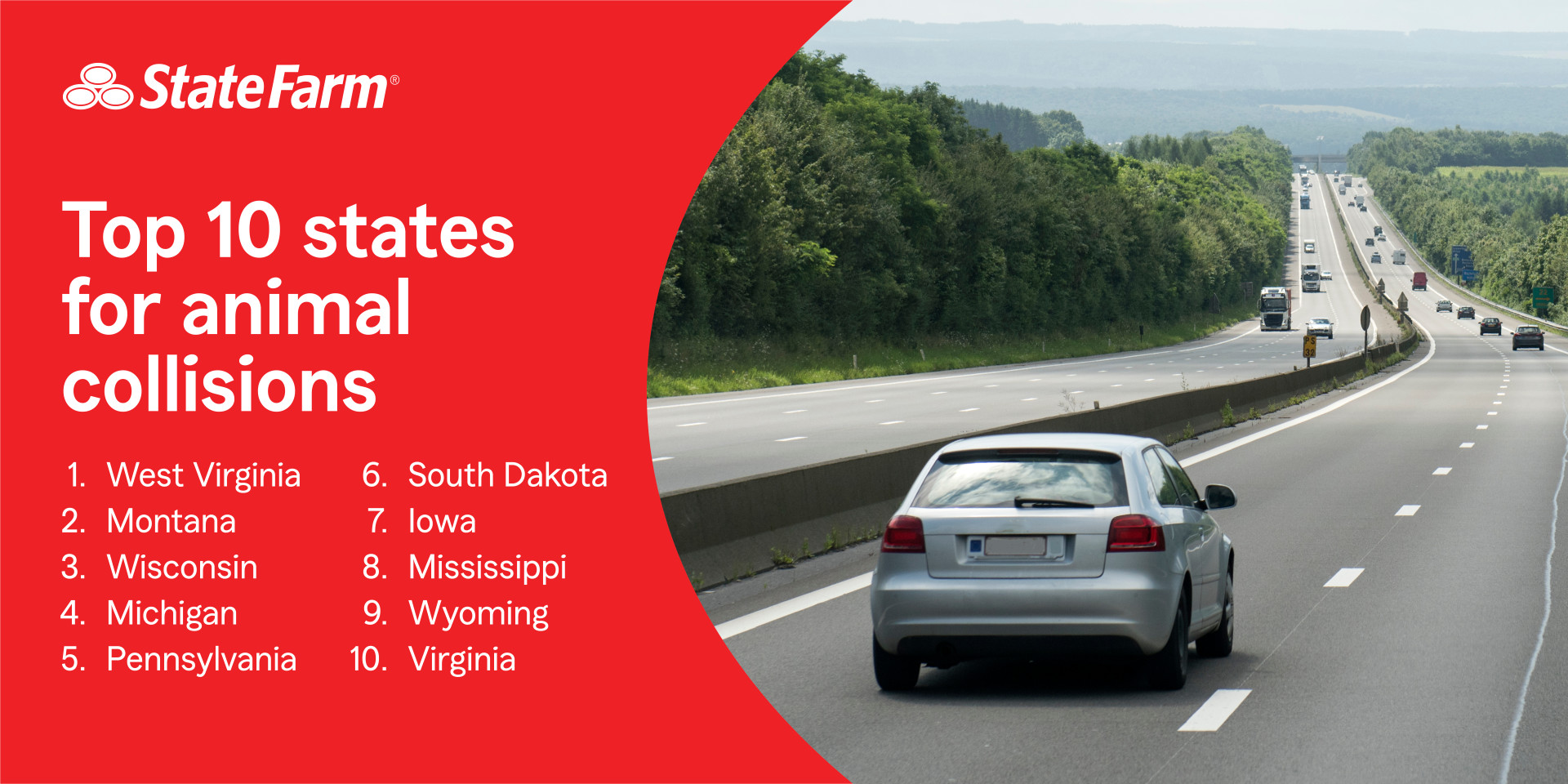 New State Farm® data reveals fewer animal collisions, but autumn months ...