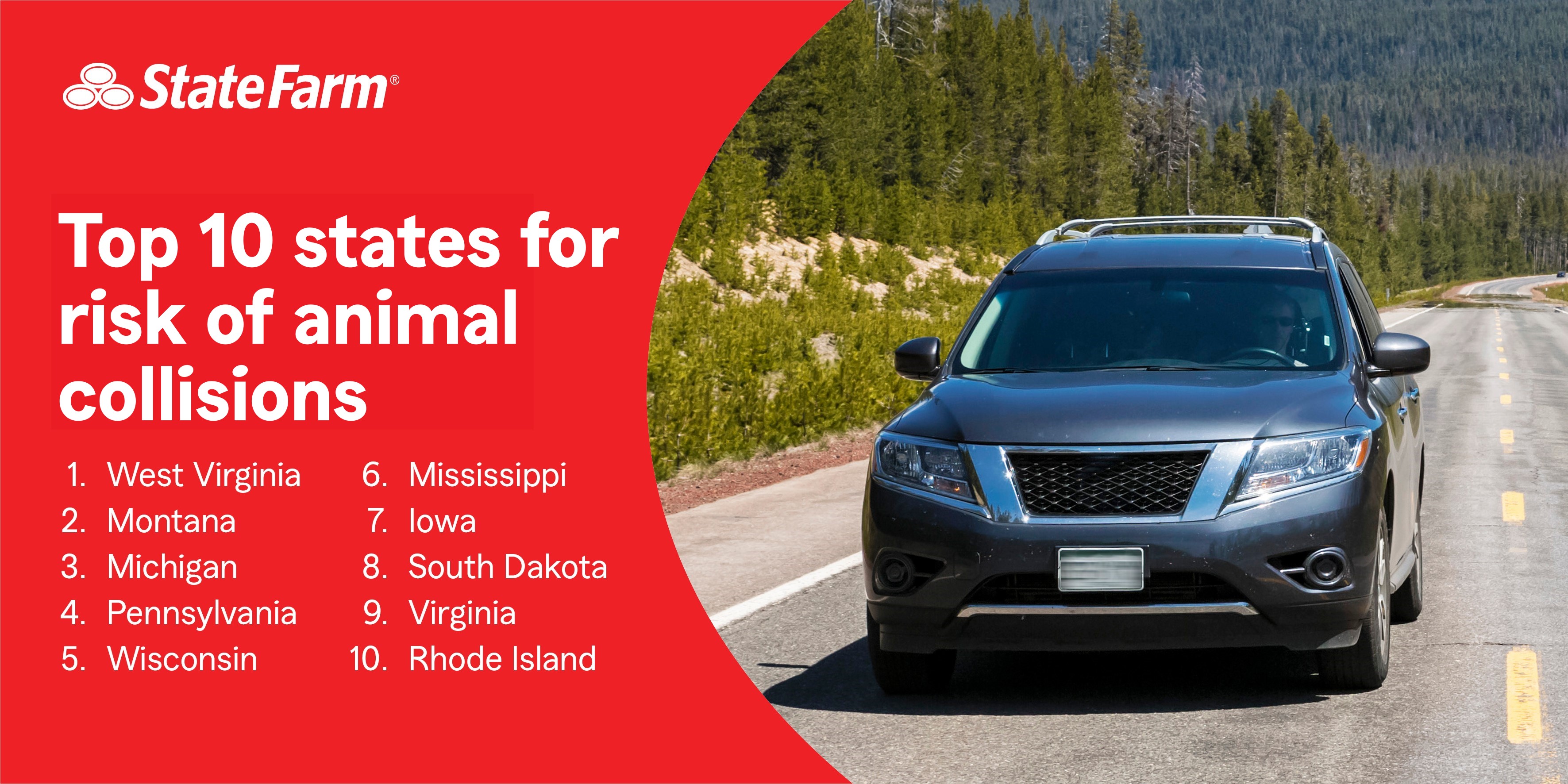 New State Farm® data reveals the likelihood of hitting an animal while ...
