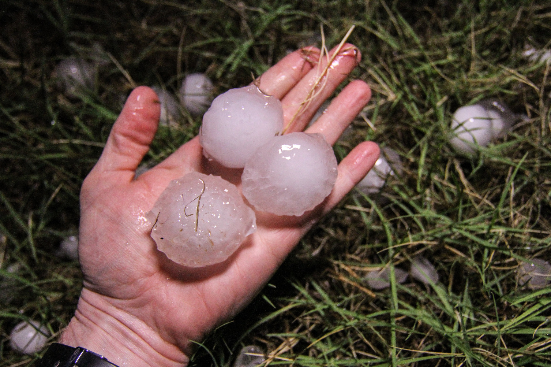 State Farm® educates current and future homeowners about hail
