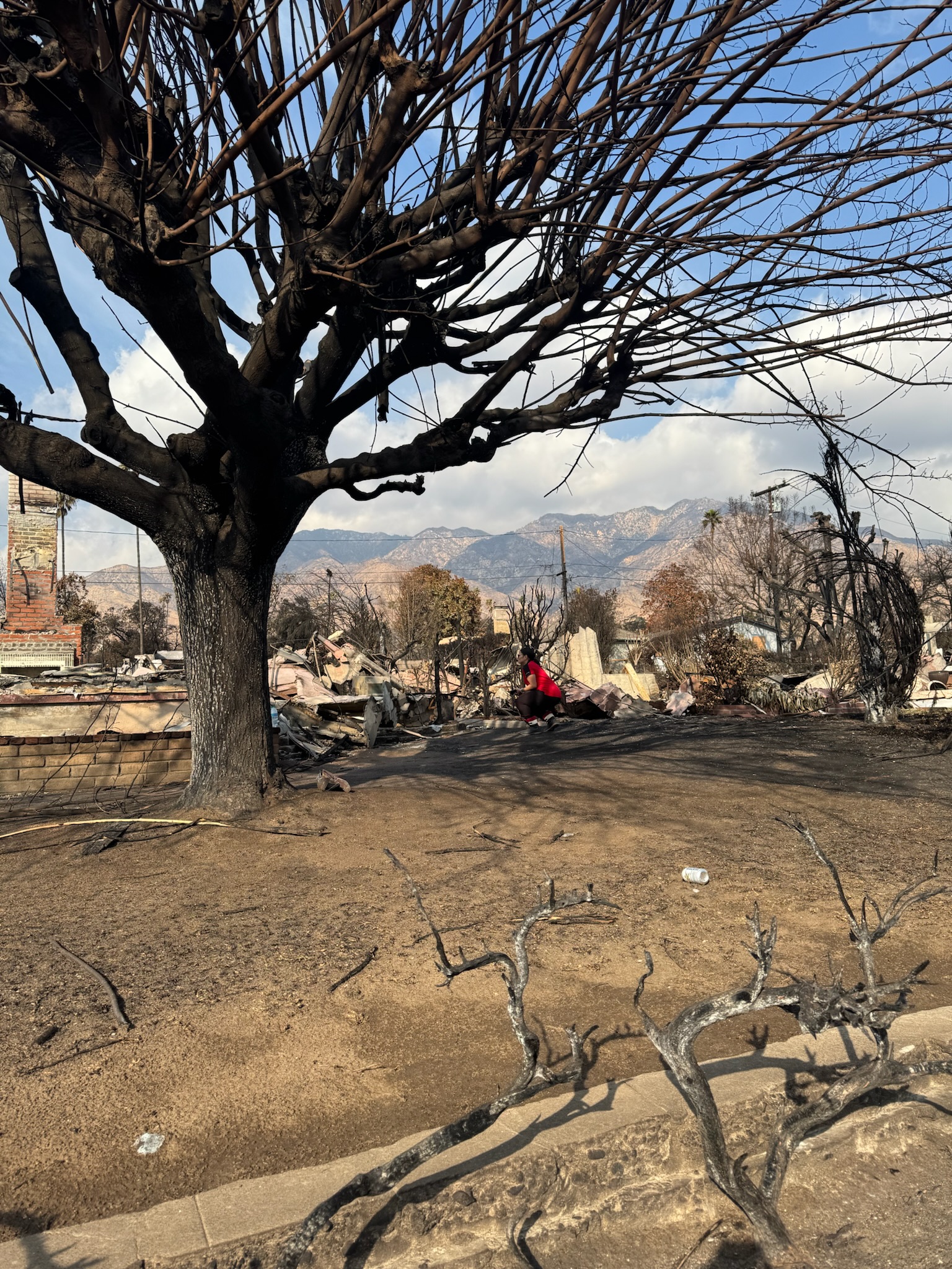 State Farm LA Wildfire Response