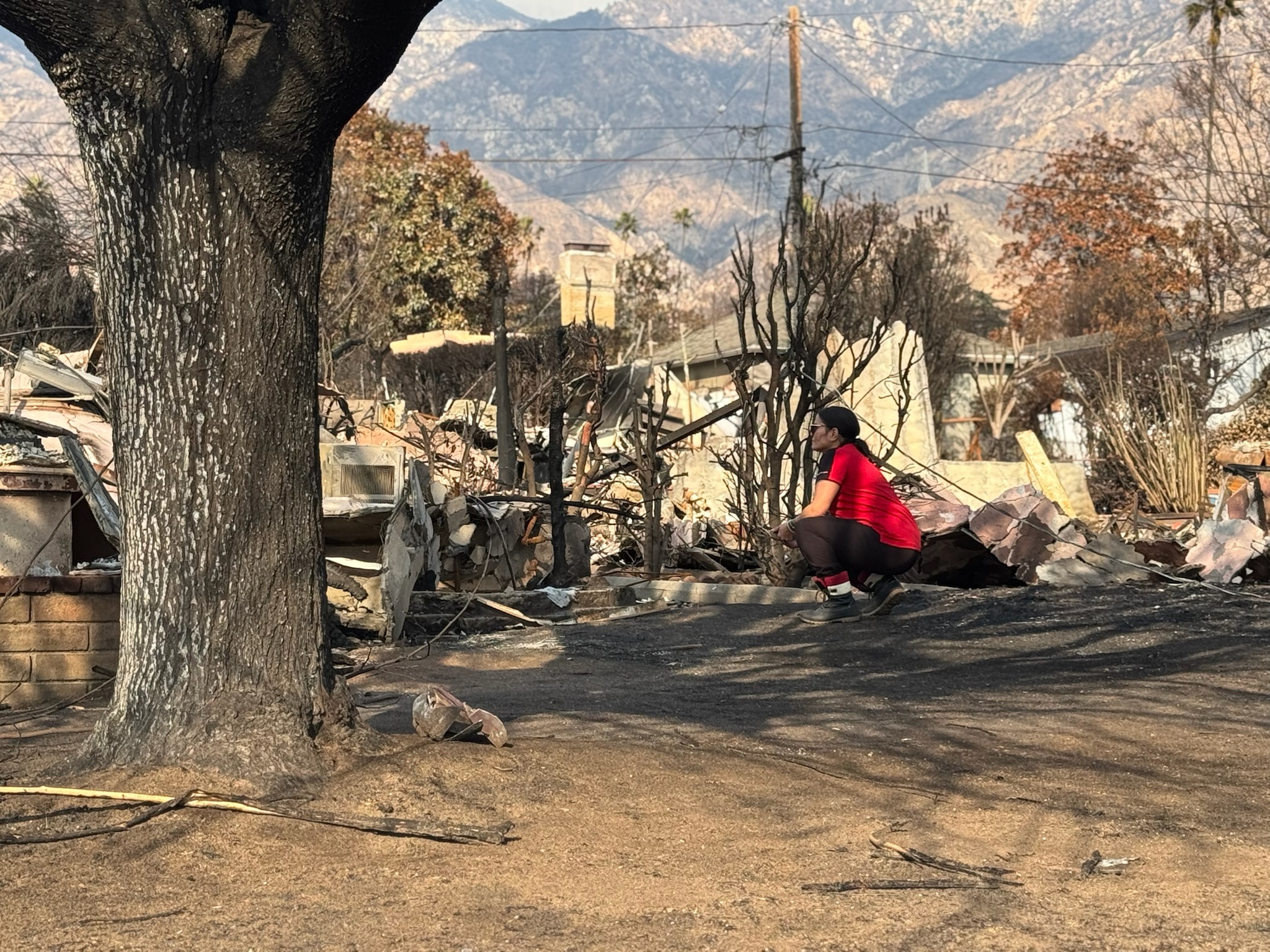 State Farm LA Wildfire Response