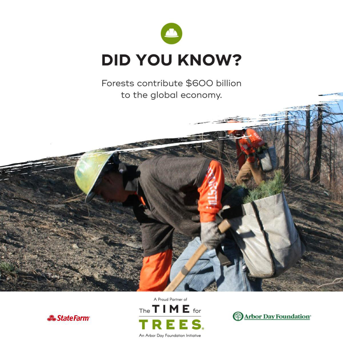 State Farm and Arbor Day Foundation announce tree-planting collaboration