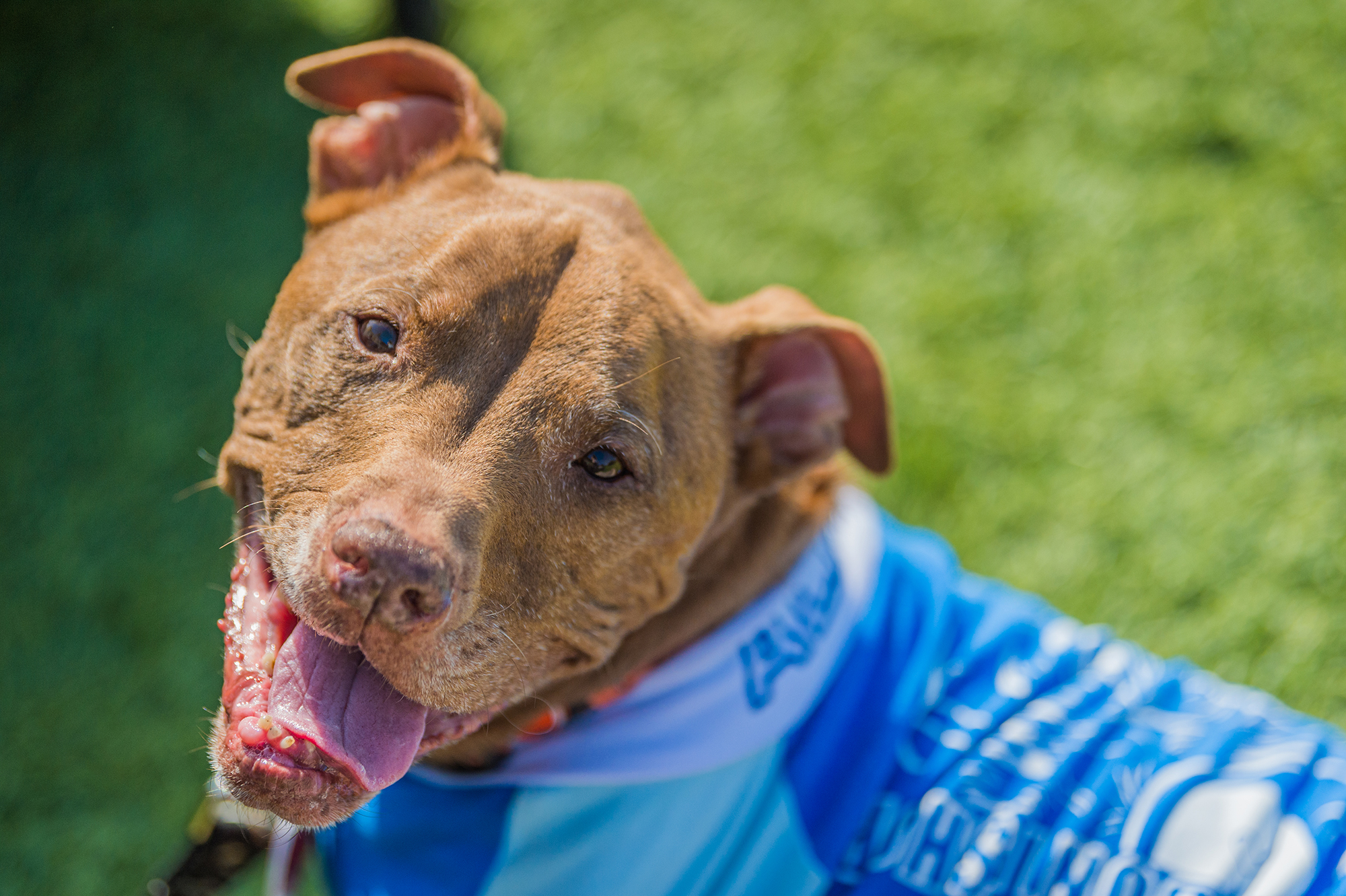 Aladdin and his Legacy of Love