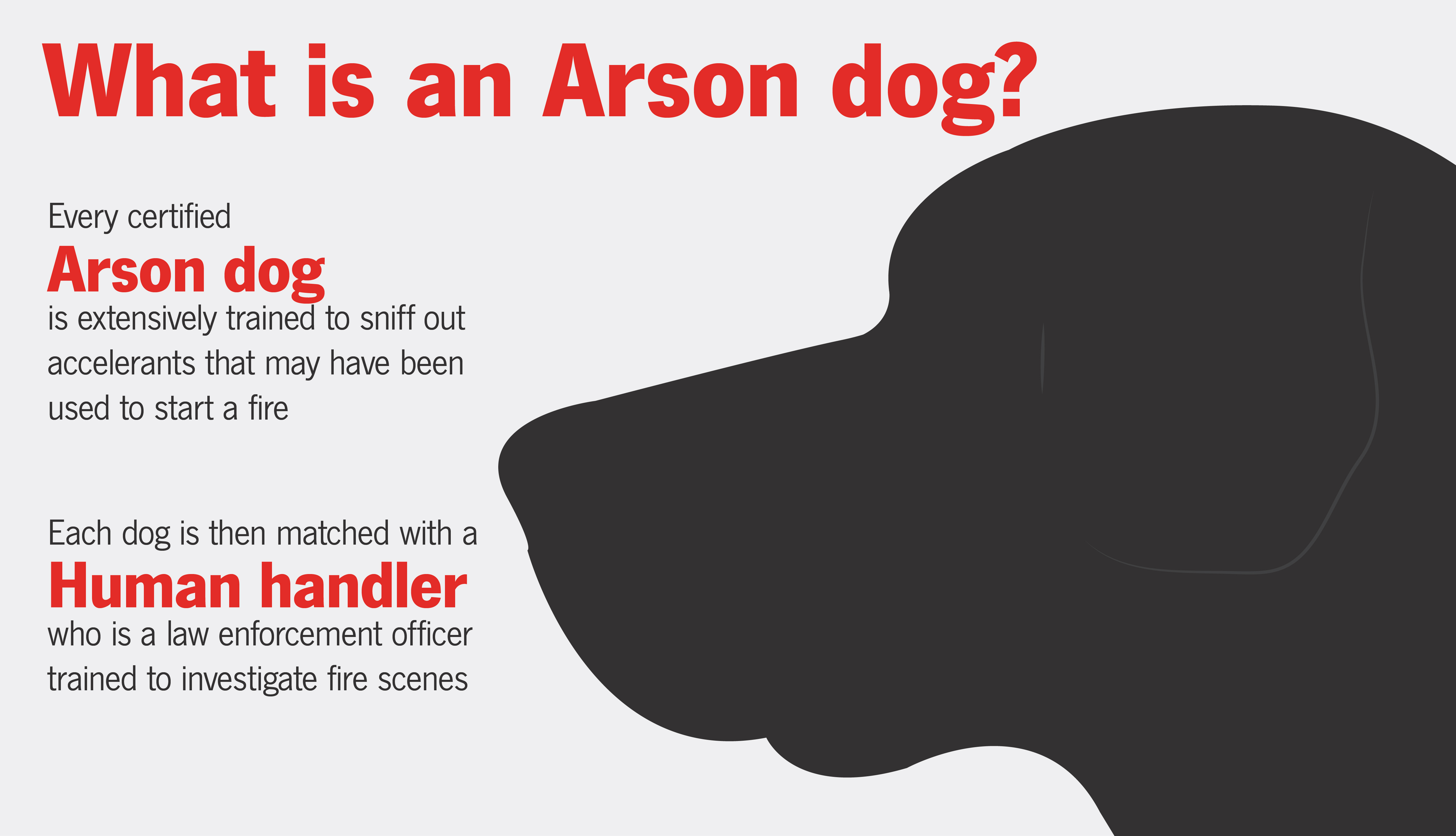 Hero Arson Dog Goes Rogue