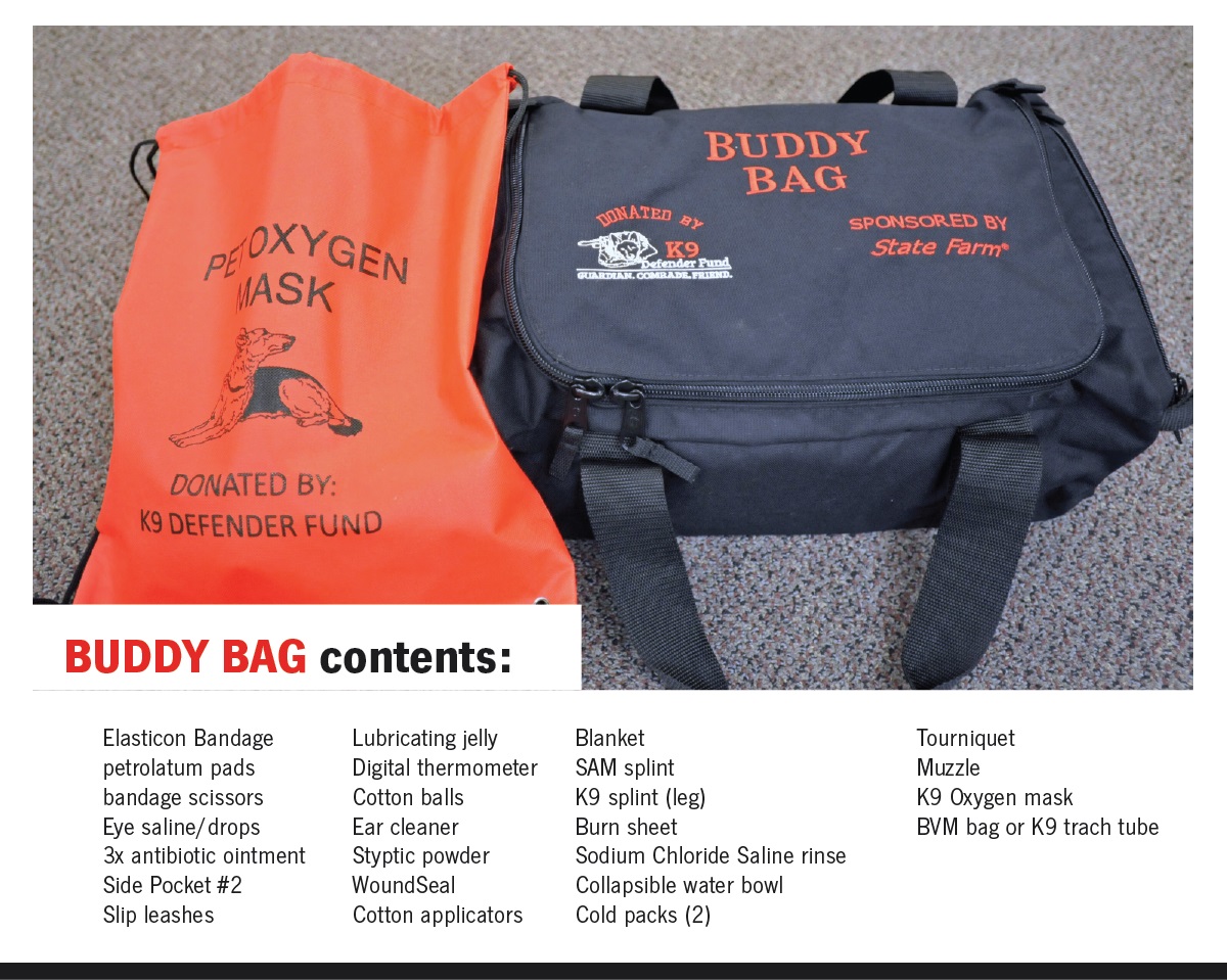 In Case of Emergency, this Kit for Canines Can Help | State Farm