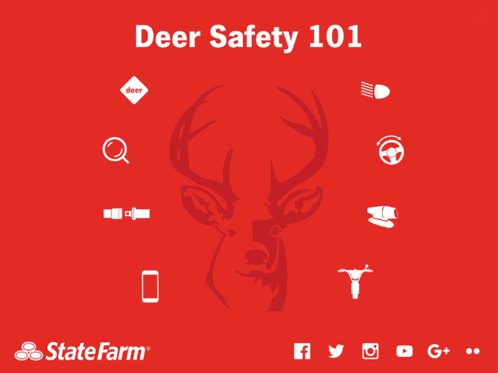 Tips to help drivers avoid a collision with a deer
