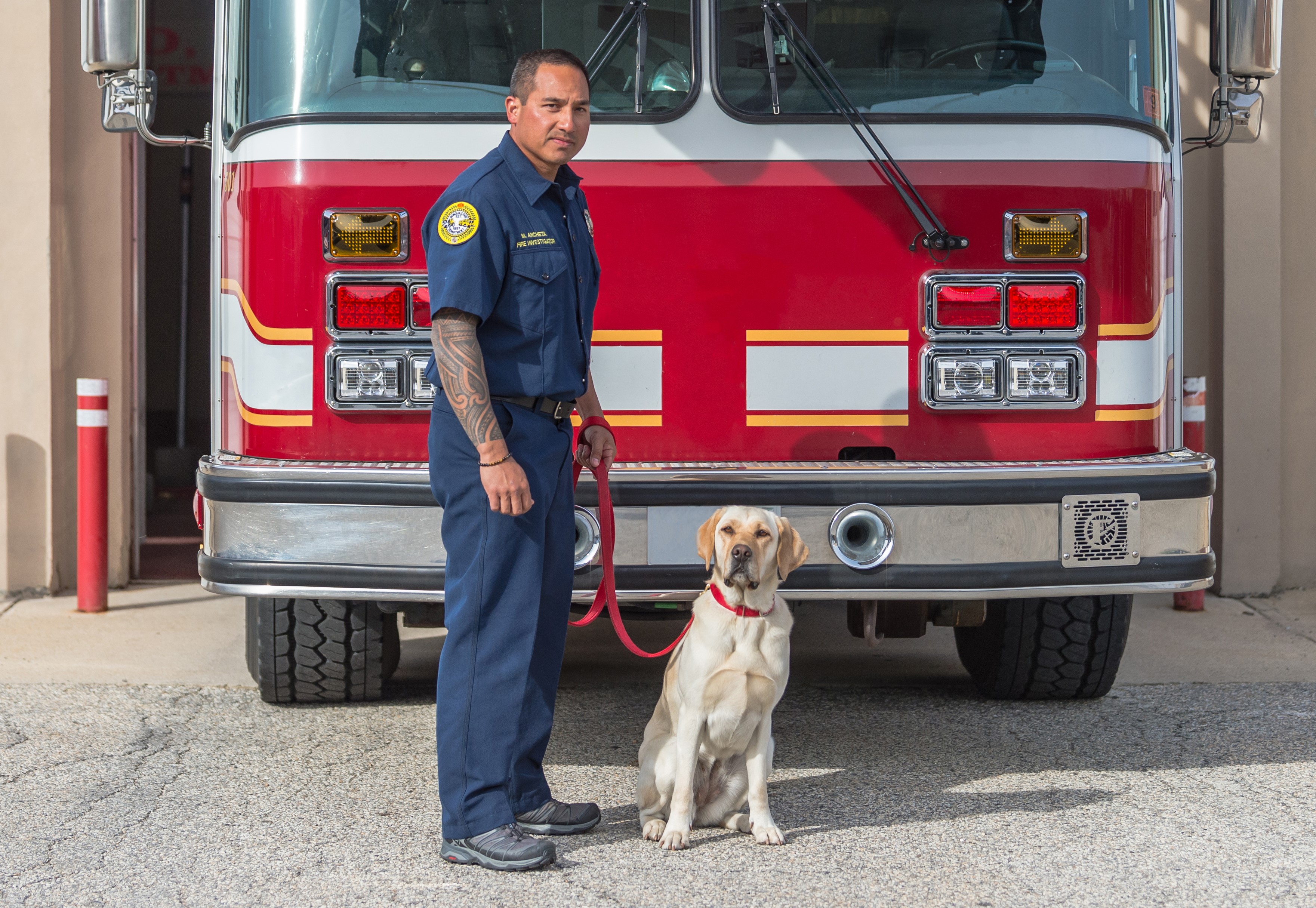 Crime-fighting canines graduate from the State Farm Arson Dog Class #54