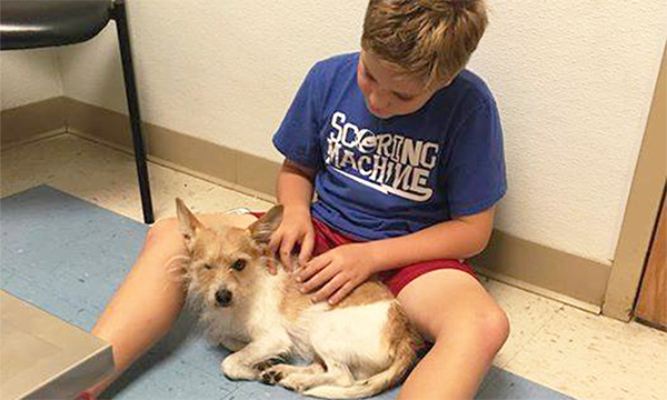 National Dog Day- Agent to the Rescue- State Farm®