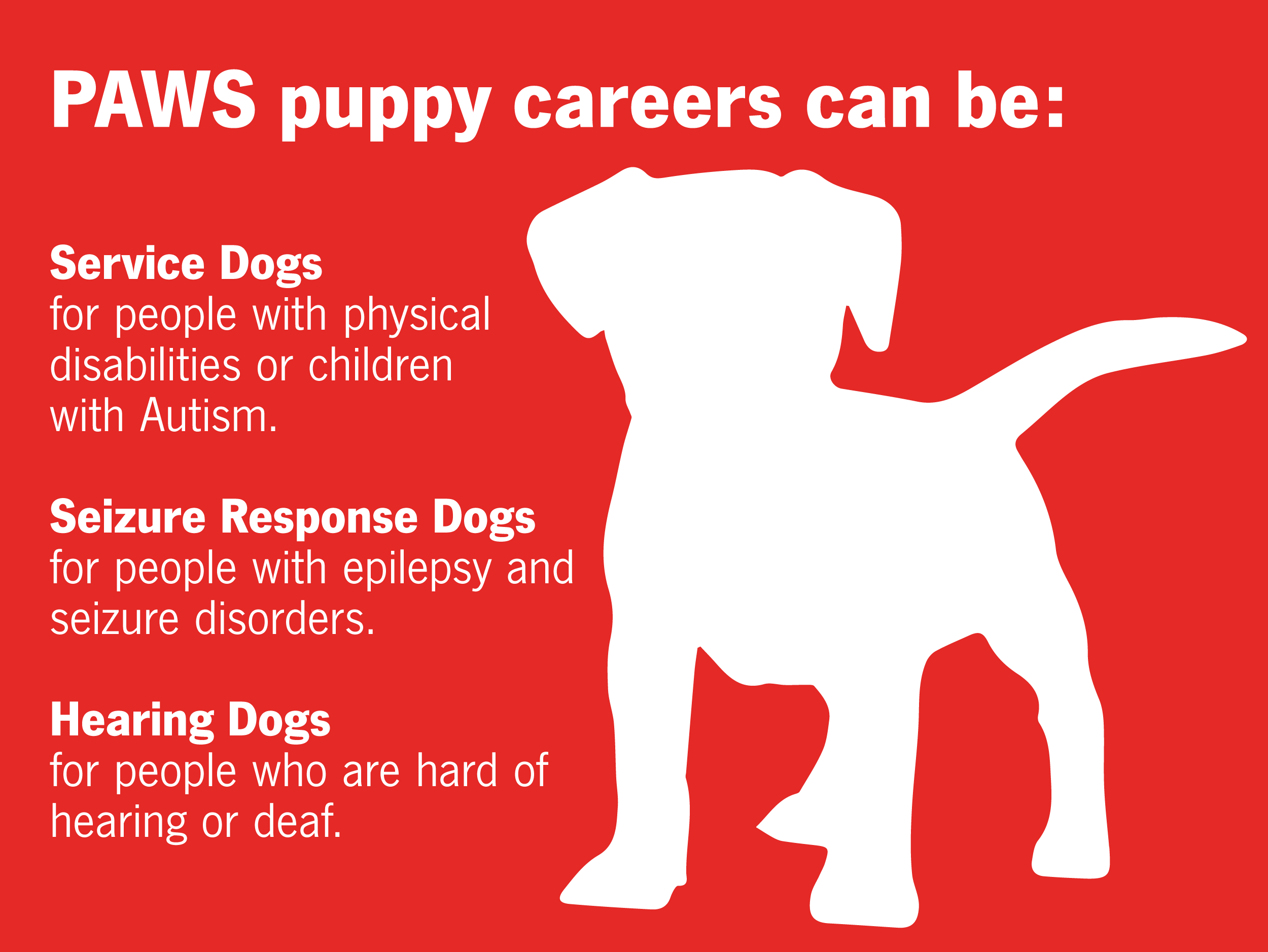 Professional Pups | State Farm