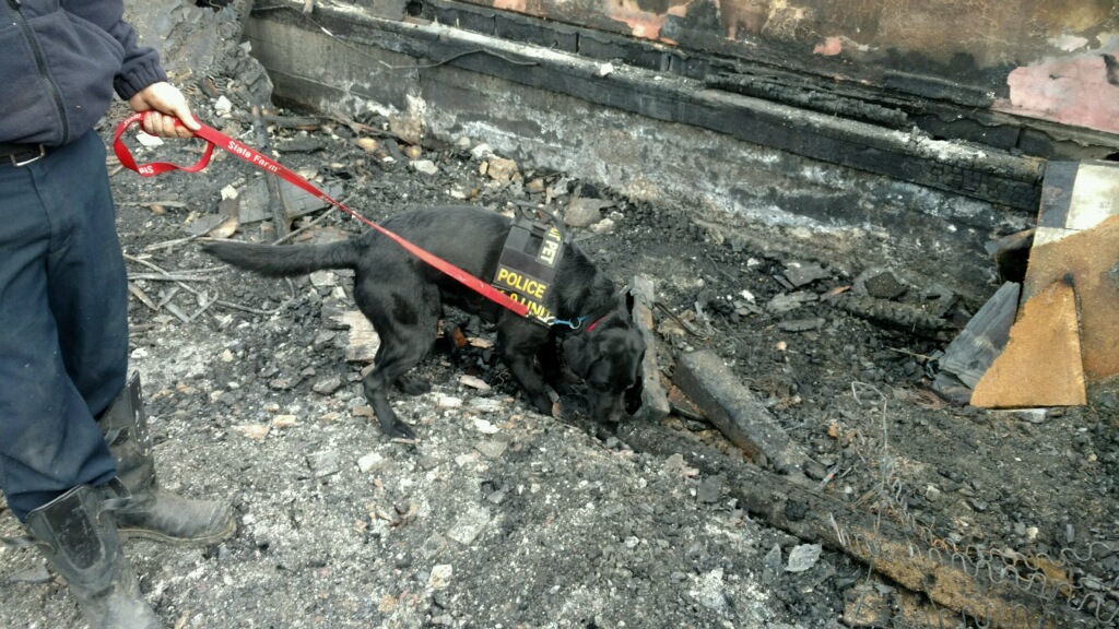 State Farm K9s Support National Arson Awareness Week