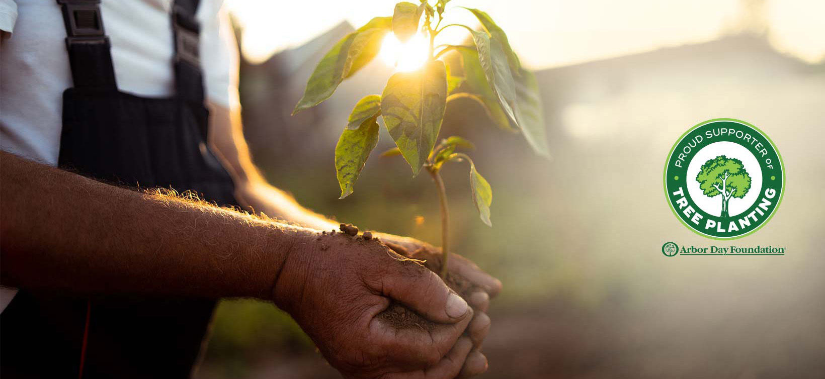 State Farm and Arbor Day Foundation announce tree-planting collaboration