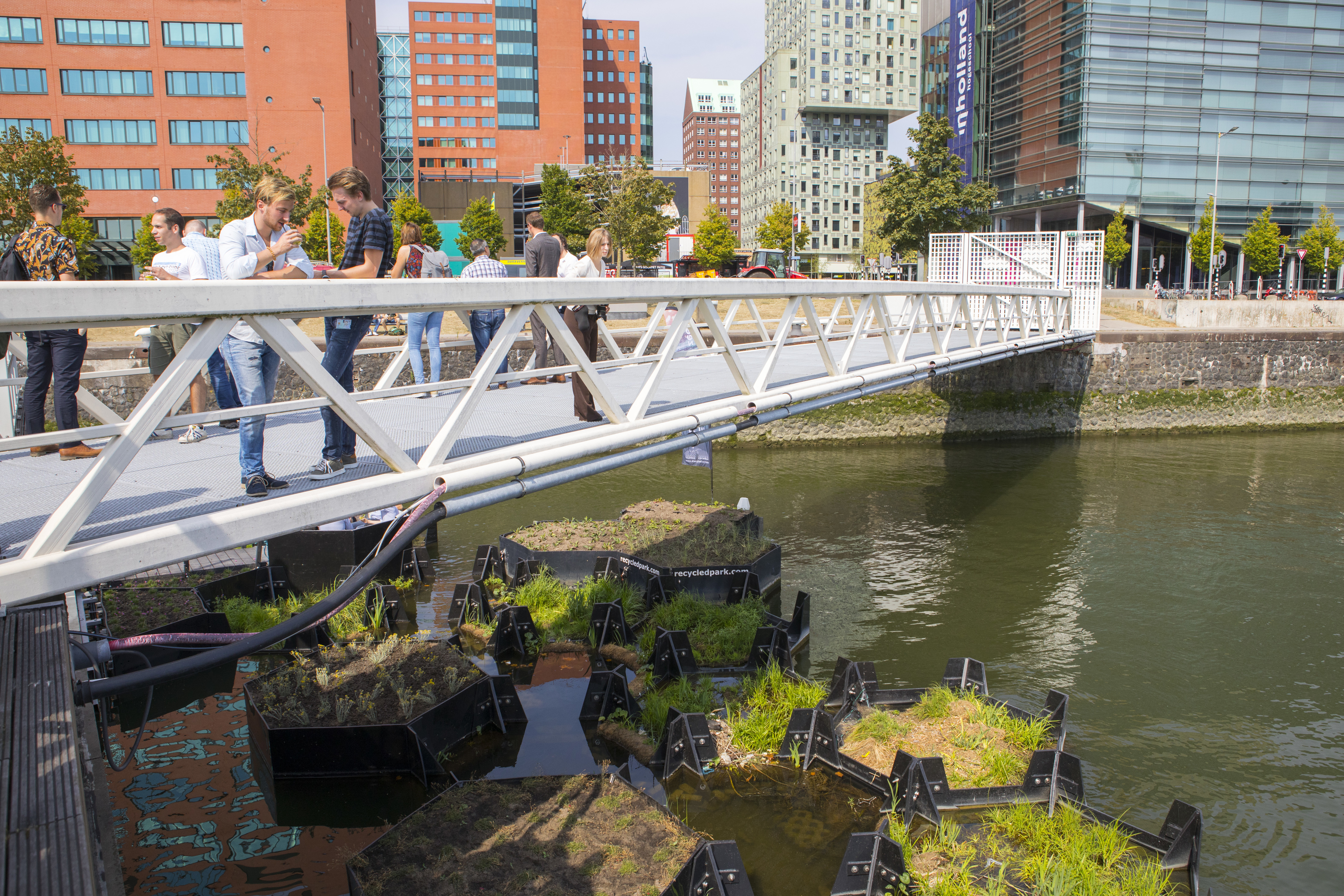 Rijnhaven Rotterdam: van plastic afval naar drijvend stadspark