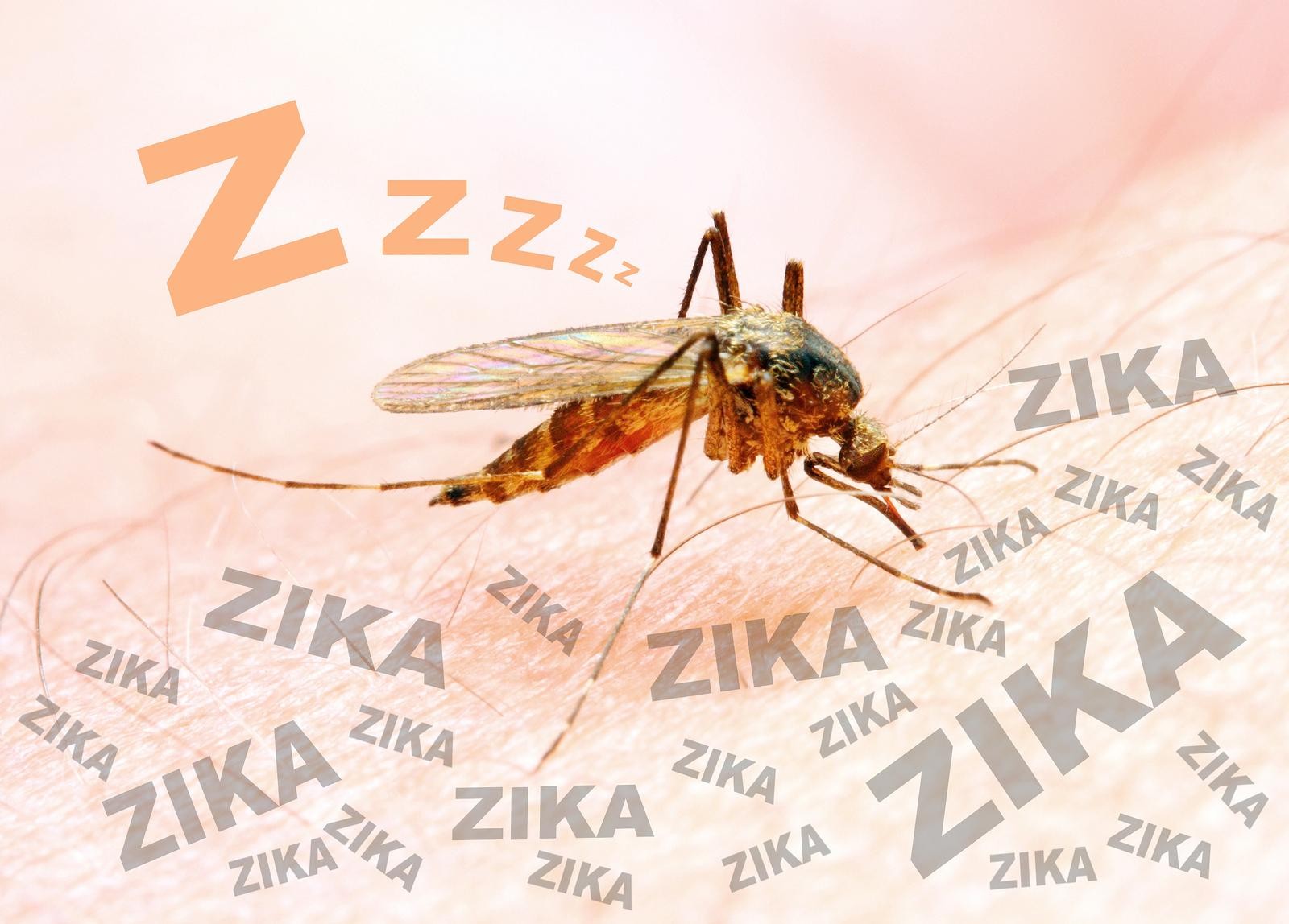 Zika Virus Causes Brain Defects in Babies: CDC