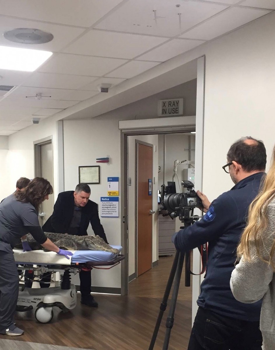 OhioHealth O'Bleness' Relationship with Paleontologist Featured in ...