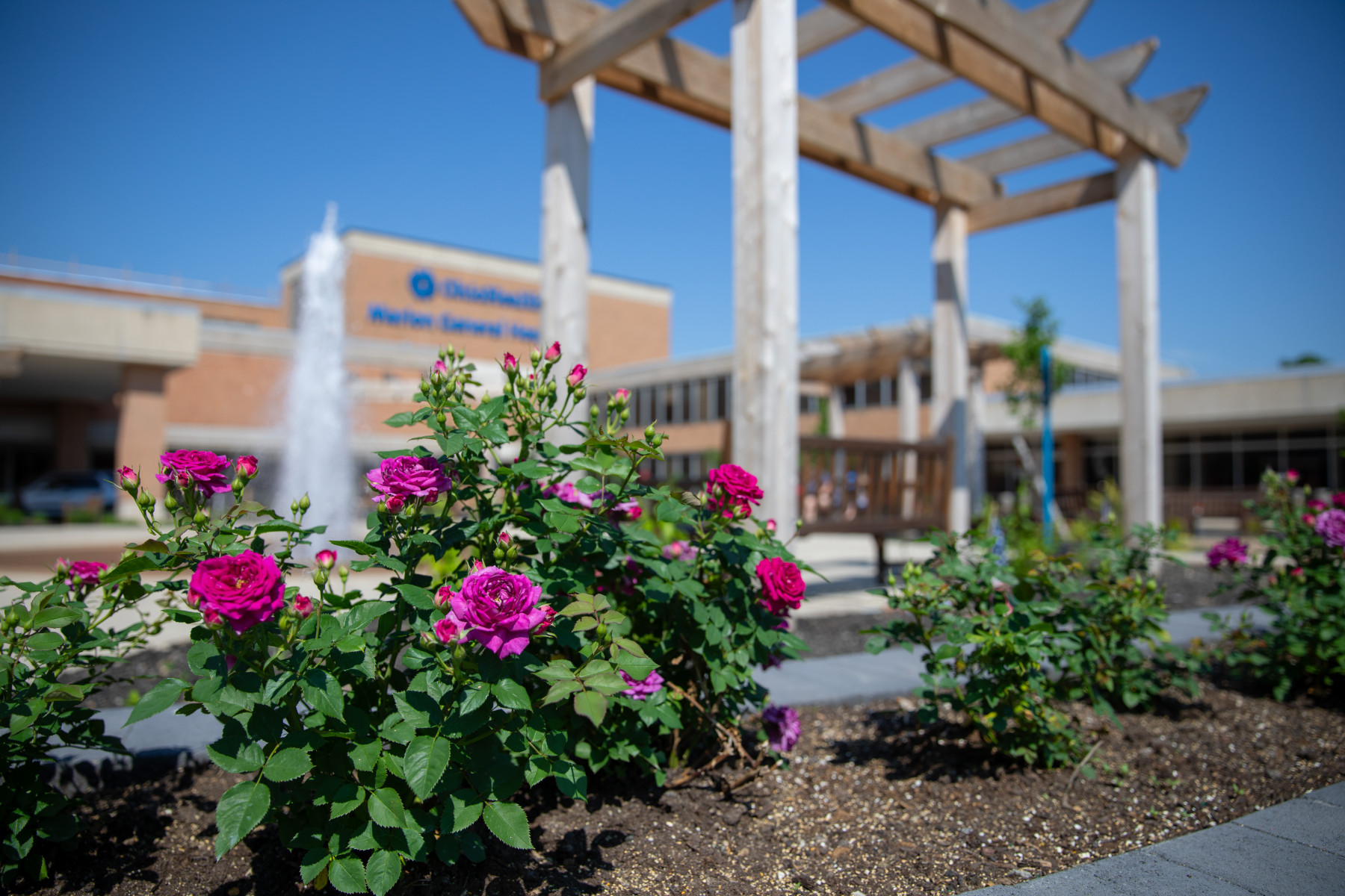 OhioHealth Marion General Hospital Celebrates Memorial Garden ...