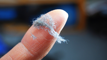 Chemicals in Household Dust