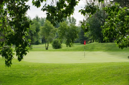 The Grass is Always Greener