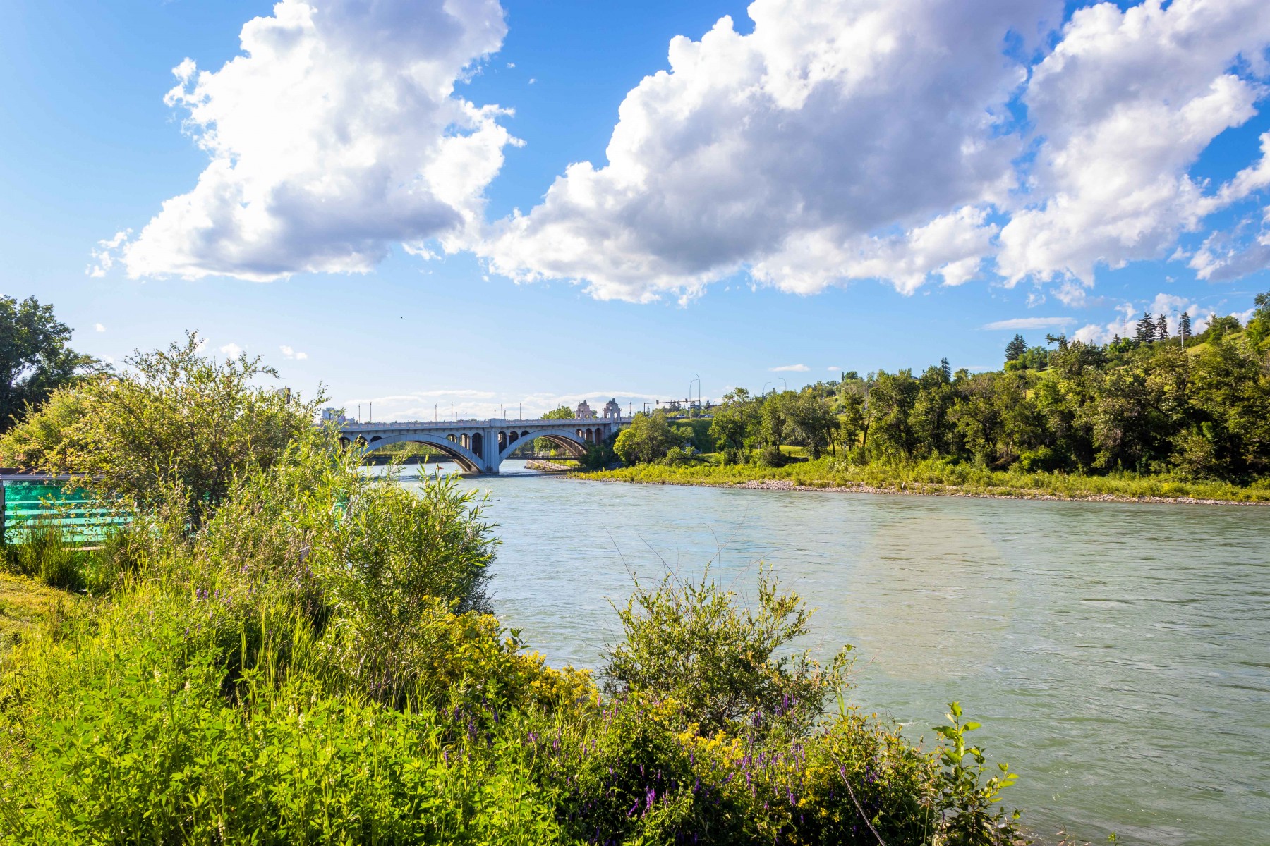 Partners in Aquatic Safety remind Calgarians to stay safe on Calgary’s ...