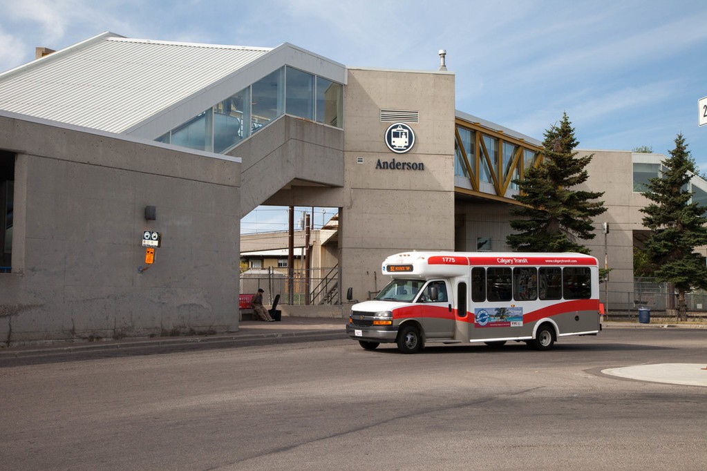 Calgary Transit's puppy bus aiming to soothe stress
