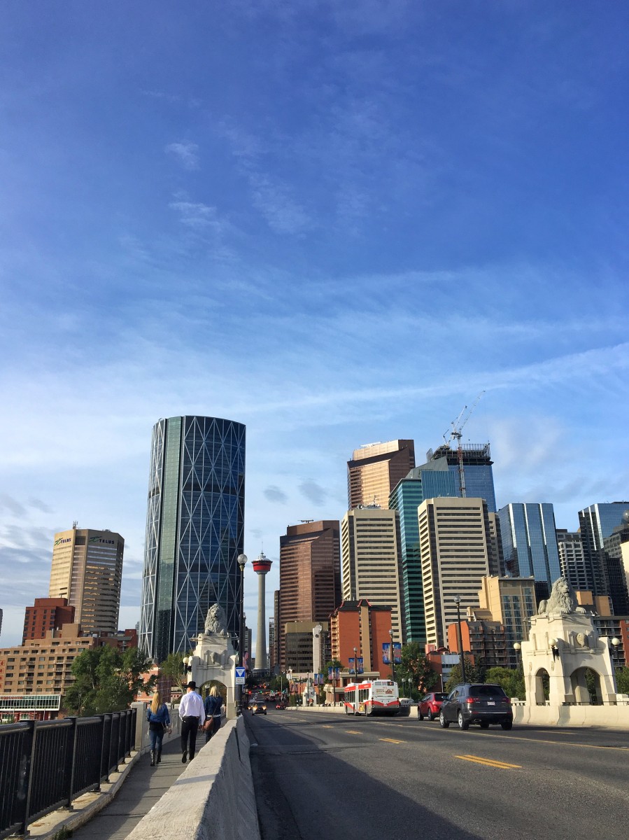 City Releases 2016 Census Results