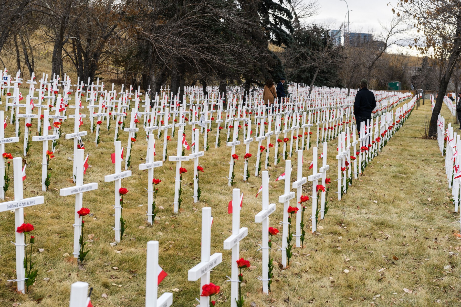 City Services: Remembrance Day 2022