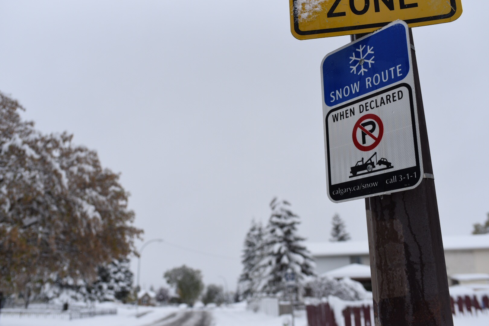 Snow Route Parking Ban called as Calgary receives record snowfall