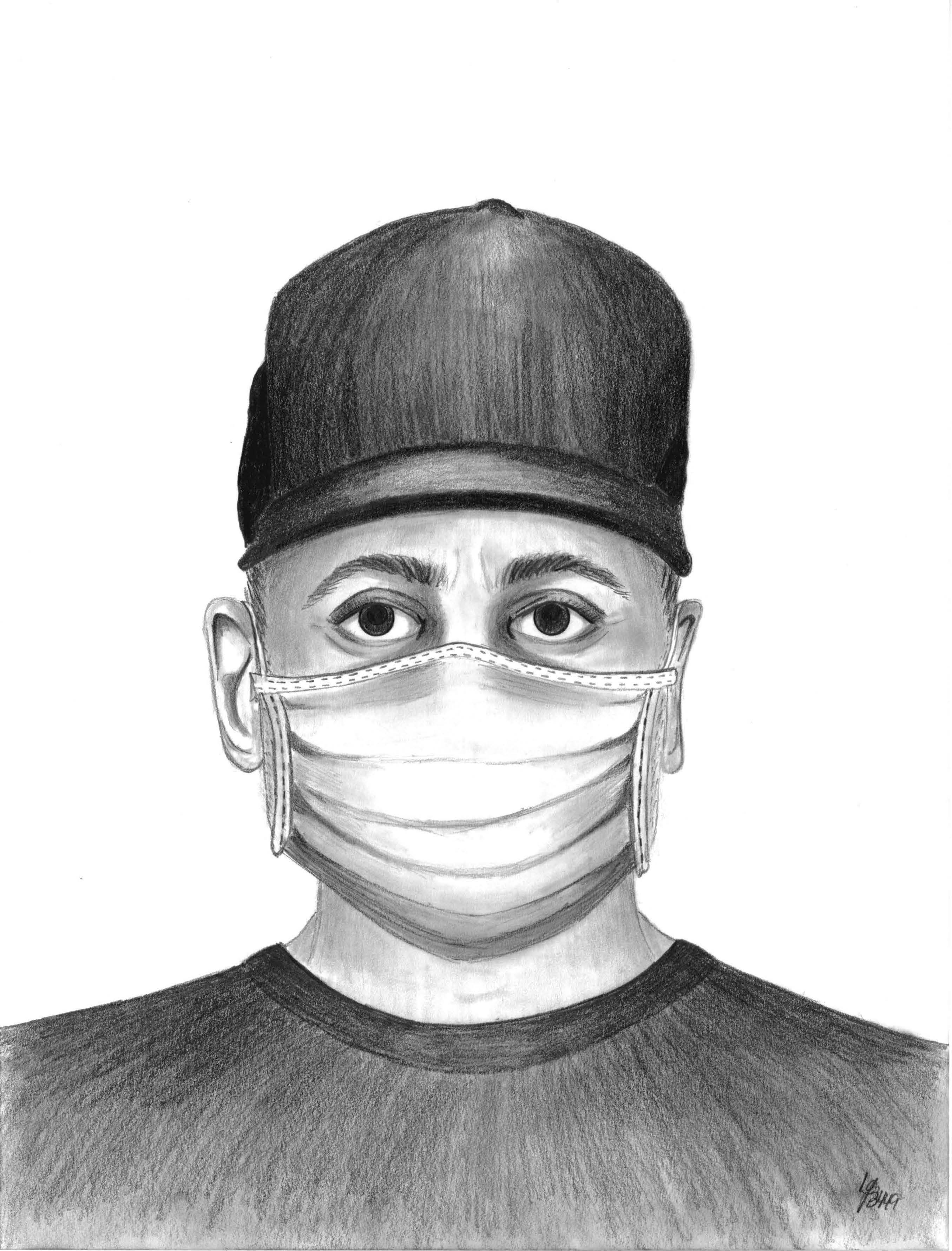Composite sketch released in roadside assault investigation