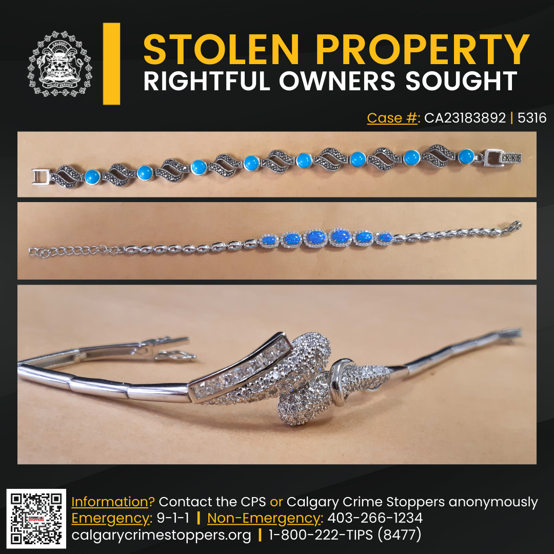 Police lay charges in series of break and enters and look to return stolen property