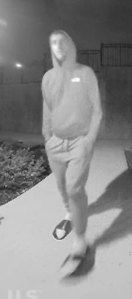 Police look to identify harassment suspect