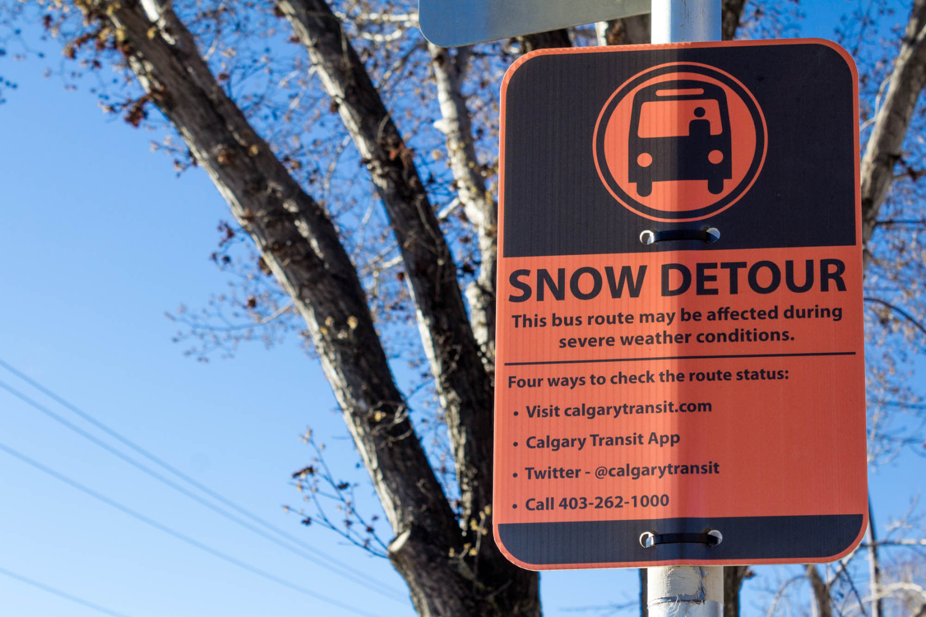 Calgary Transit will return to regular routes at noon on Thursday ...
