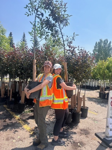 It’s a wrap on the Branching Out tree partnership program for 2025!