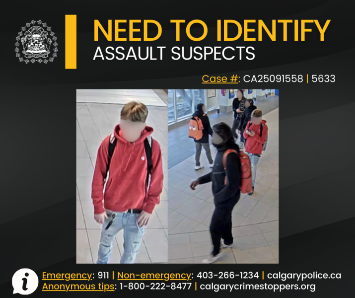 Police seek public assistance in identifying assault suspects