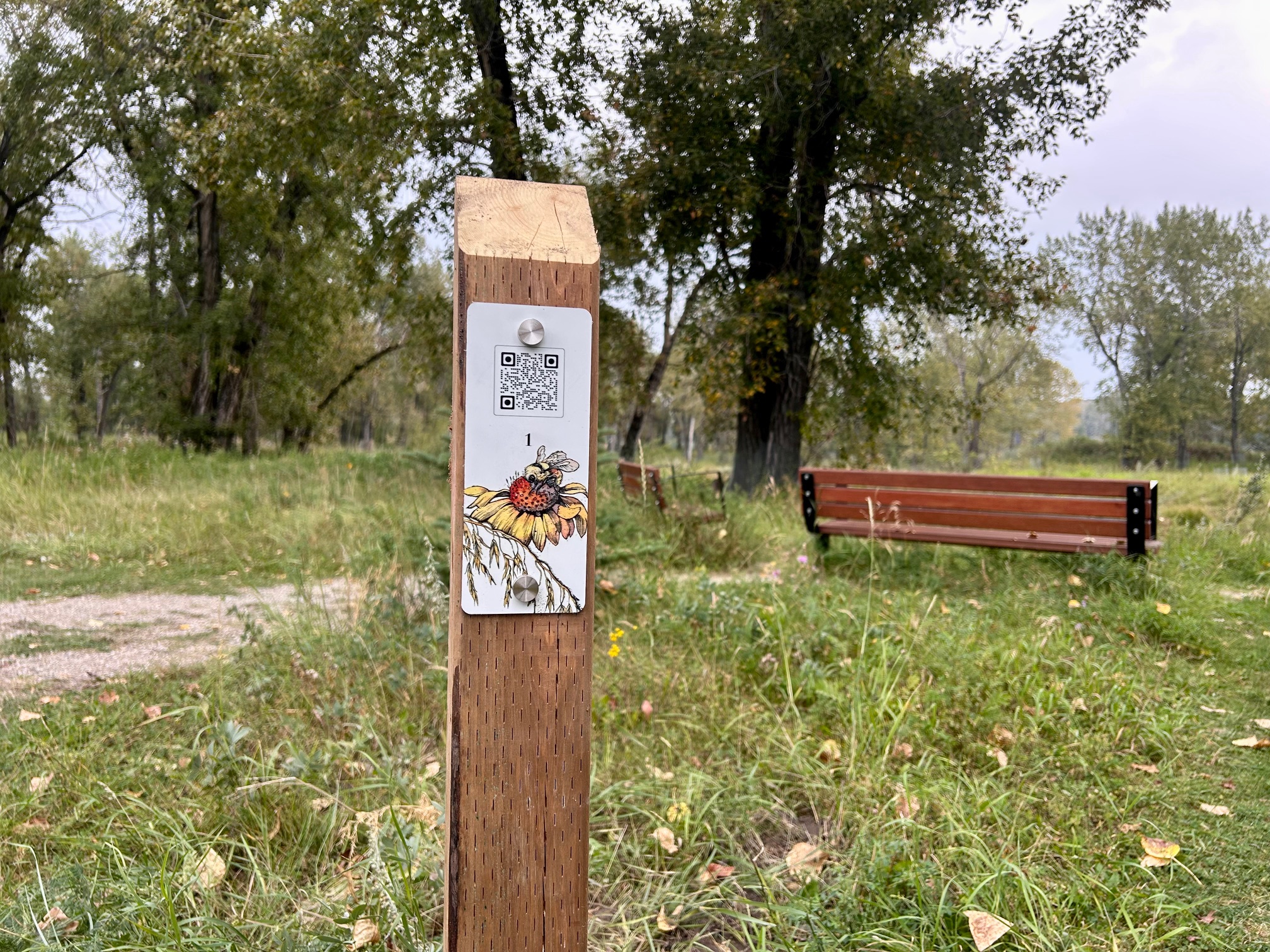 Calgary’s First Forest Bathing Trail Opens at Inglewood Bird Sanctuary ...