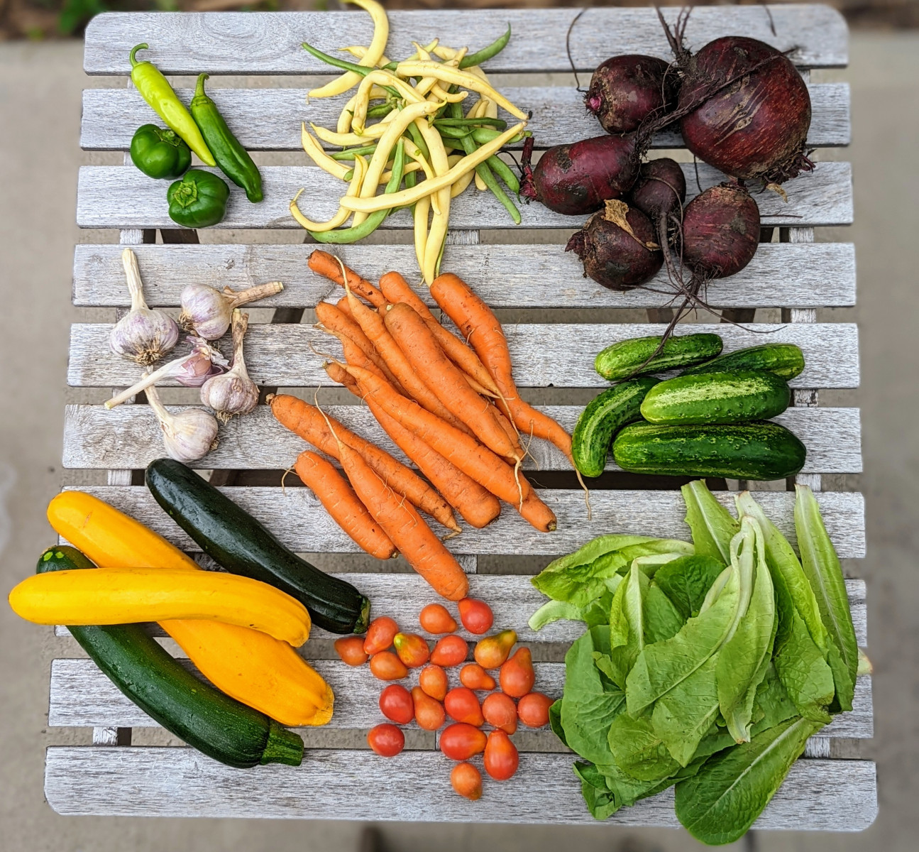 The City’s commitment to nurturing a community of home-grown producers ...