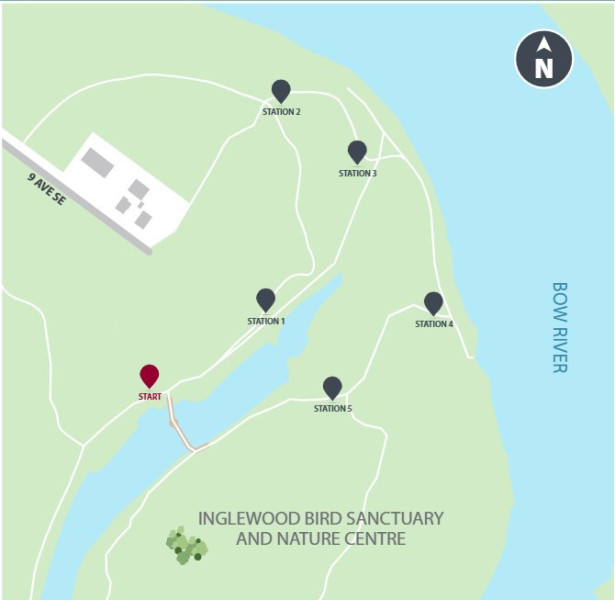 Calgary’s First Forest Bathing Trail Opens at Inglewood Bird Sanctuary ...