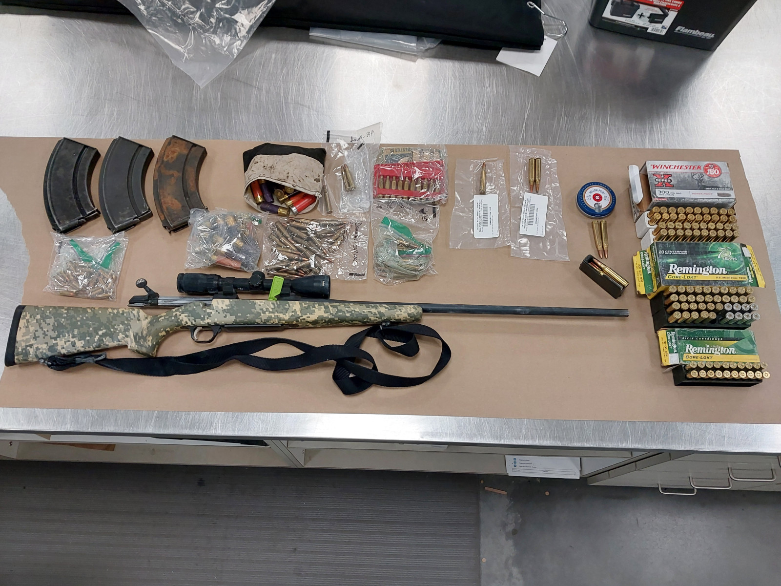 Firearm seized and more than 50 charges laid following breach-related ...