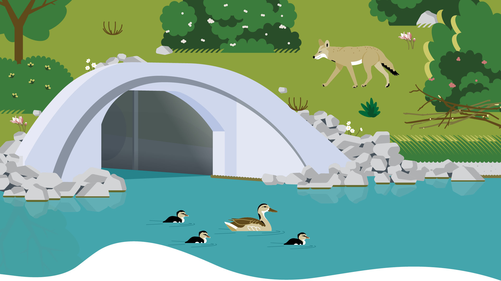 Six steps to keeping our rivers healthy